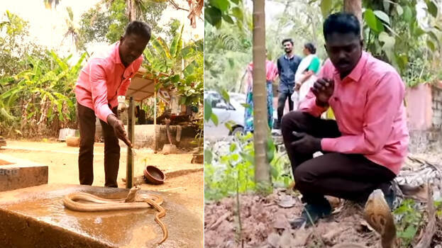 നാഗർ ക്ഷേത്രത്തിന് സമീപത്തെ വീട്ടിൽ മൂർഖൻ എത്തി, കൈകൂപ്പി അമ്മ ...