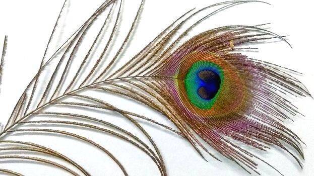 വേദനയുടെ ദ്വീപുകൾക്കിടയിൽ - SPIRITUAL - MAYILPEELI | Kerala Kaumudi Online