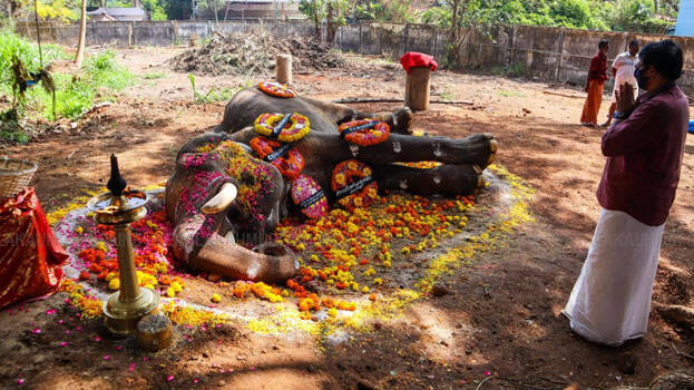 21 വർഷമായി തൃശൂർ പൂരത്തിൽ സജീവ സാന്നിദ്ധ്യം; പാറമേക്കാവ് ദേവീദാസ ...