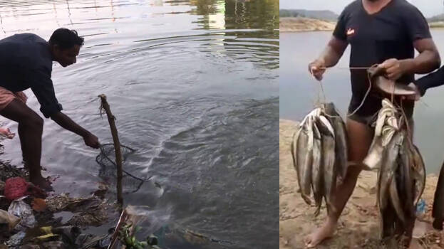 തോട്ടിലെയും വയലിലെയും മീൻ പിടിക്കരുതേ, അകത്താകും; ലഭിക്കുക 6 മാസം തടവും ...