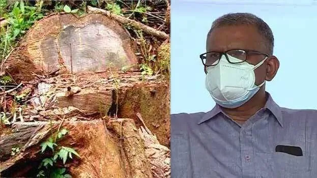 മുട്ടിൽ മരംമുറി കേസ്; അനുമതി കത്തുകൾ വ്യാജം, ശാസ്ത്രീയ പരിശോധനാ ഫലം ...