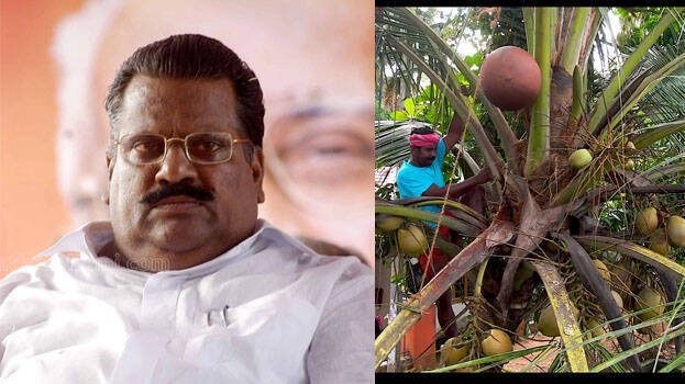 പെൺകുട്ടികൾക്ക് കാലിലെയും കൈയിലെയും തഴമ്പ് ഇഷ്ടമല്ല, അതിനാൽ കള്ള് ...