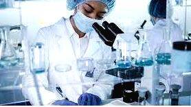 Breakthrough in Artificial Embryo Creation: 14-Day-Old Human Embryo ...