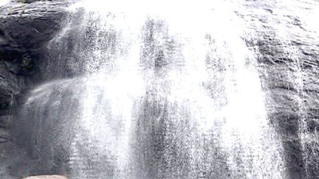 പതഞ്ഞൊഴുകുന്നു ചില്ലിത്തോട് വെള്ളച്ചാട്ടം - LOCAL - IDUKKI | Kerala ...