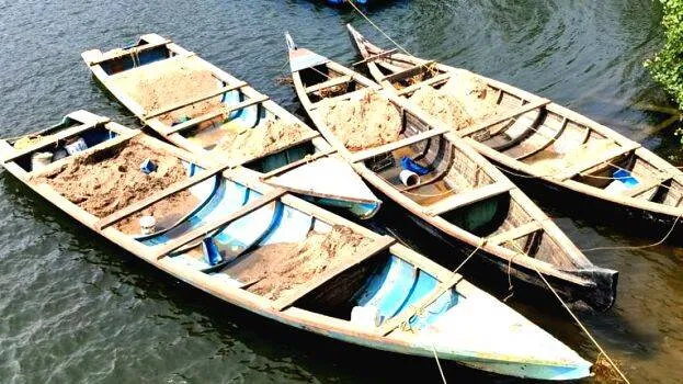 പുത്തൻവേലിക്കരയിൽ മണൽവേട്ട: 17 പേർ അറസ്റ്റിൽ, നാല് വഞ്ചികൾ പിടികൂടി ...