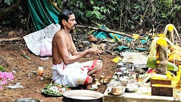 സർപ്പങ്ങൾ പത്താമുദയ നാളിൽ നൂറും പാലും നുകർന്നു. - LOCAL - KOTTAYAM ...
