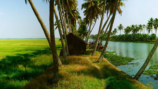 ഗ്രാമത്തിൽ താമസിക്കുന്നവർക്ക് ലക്ഷങ്ങൾ വരുമാനം നേടാം; പരിശീലനം സൗജന്യം ...