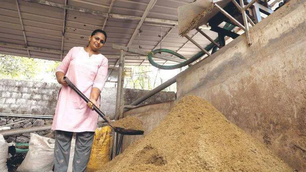 വിൽക്കുന്നത് ചാണകം, മാസം മൂന്നര ലക്ഷം വരുമാനം നേടുന്ന ബിഎഡുകാരി; ഒറ്റവ ...