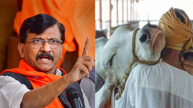 ‘Adani is holy cow for BJP’; Shiv Sena criticizes BJP on Adani-Cow Hug ...