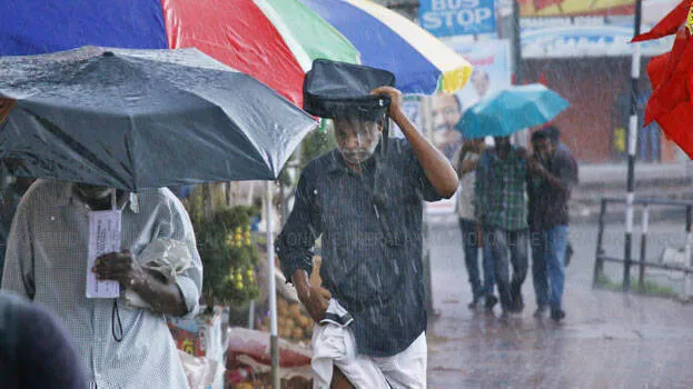 Heavy Rains Lash Kerala Orange Alert Issued In Four Districts Kerala